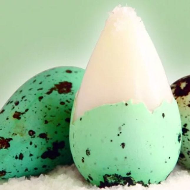 Seabird egg collecting in Ingólfshöfði | Visit Vatnajökull